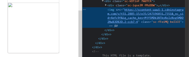 How to Fix Images Not Showing in React.js 2026