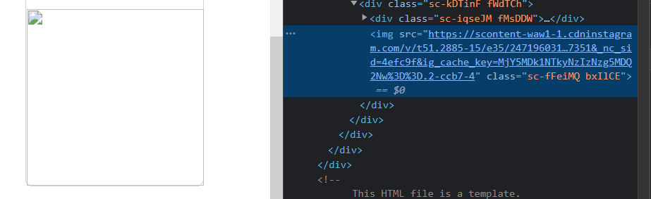 How to Fix Images Not Showing in React.js 2026